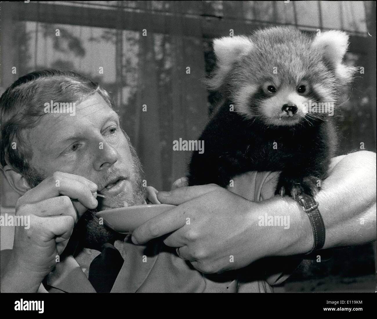 Neglected zoo hi-res stock photography and images - Alamy