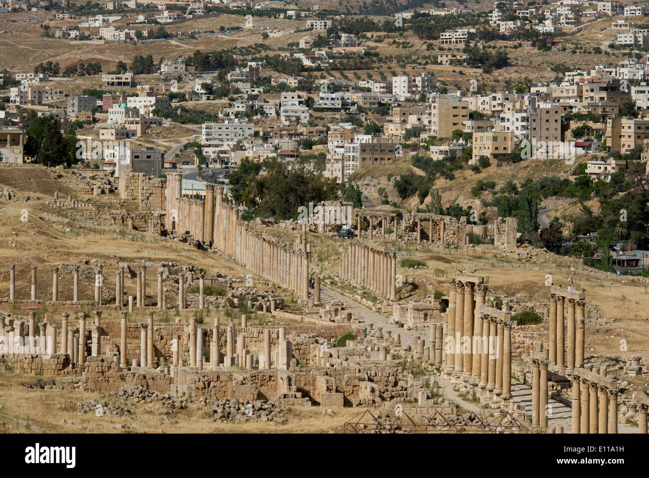 Pillars lining the Roman road leading through the ruins, with building ...
