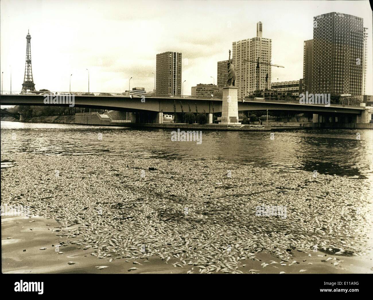 Killed polluted water in seine hi-res stock photography and images - Alamy