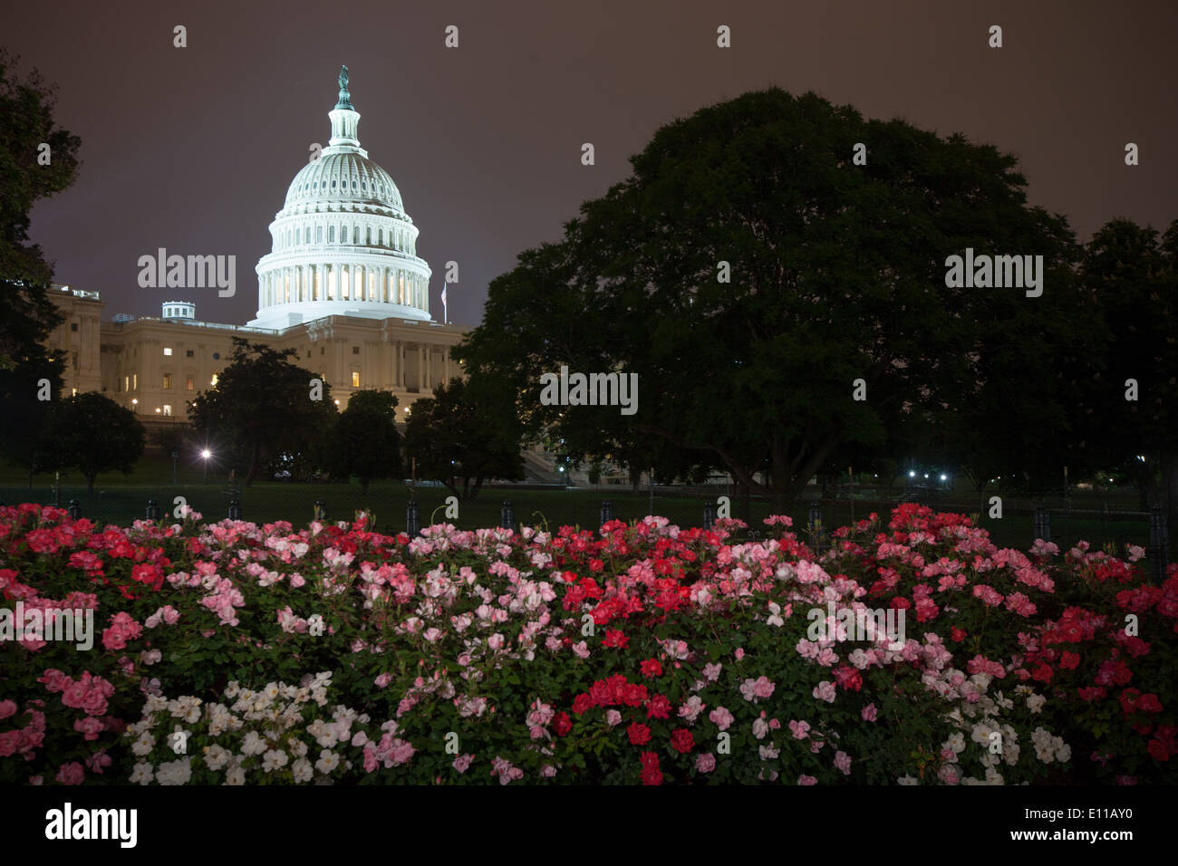 Washington capitol garden in hi-res stock photography and images - Alamy