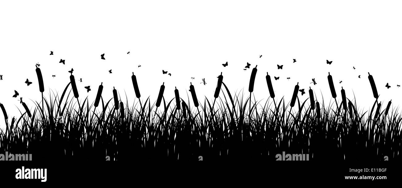 Summer meadow background. EPS 10 vector illustration without ...