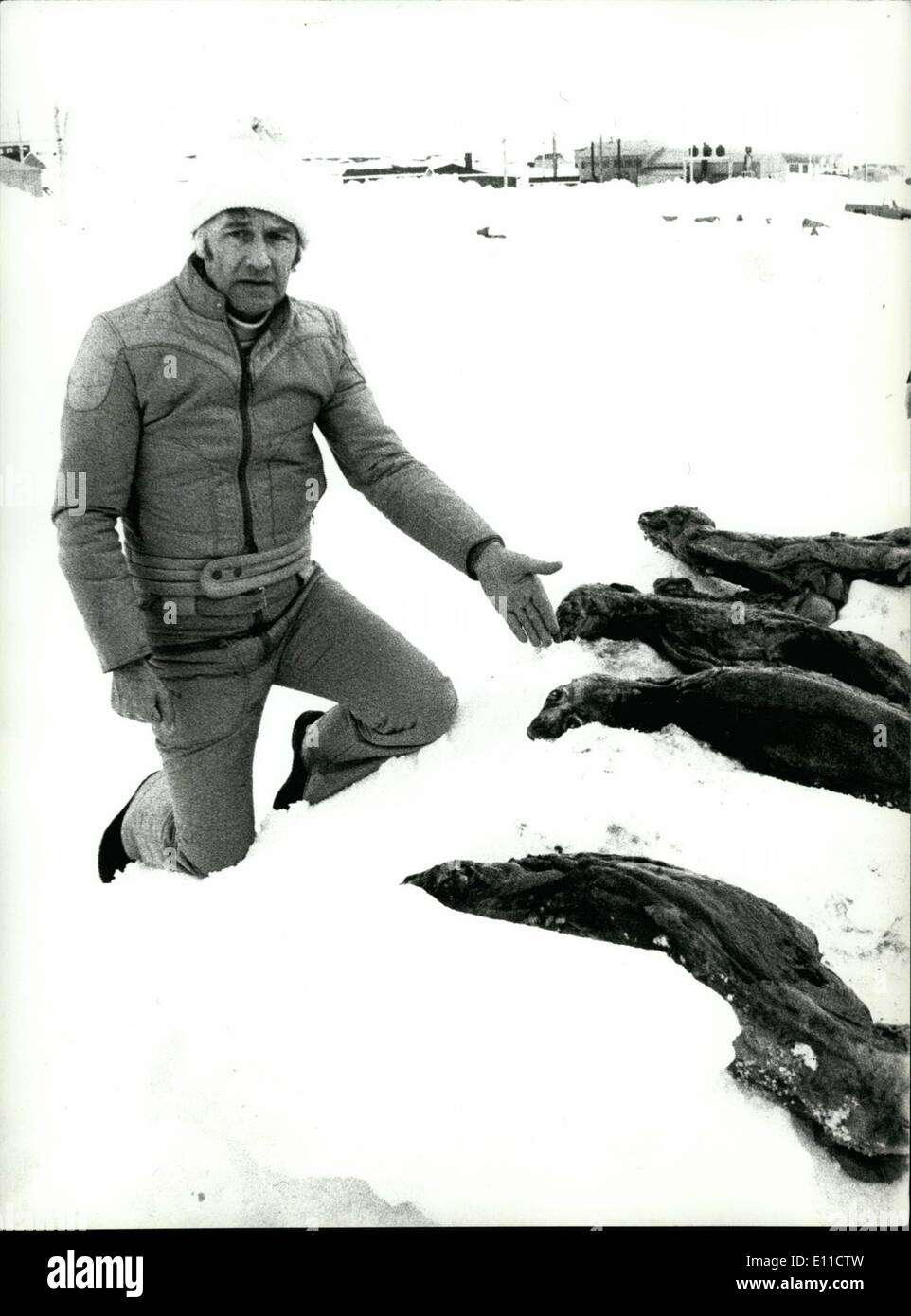 Mar. 03, 1977 - Journalist Expedition to Canadian Seal Hunt: The Weber ...