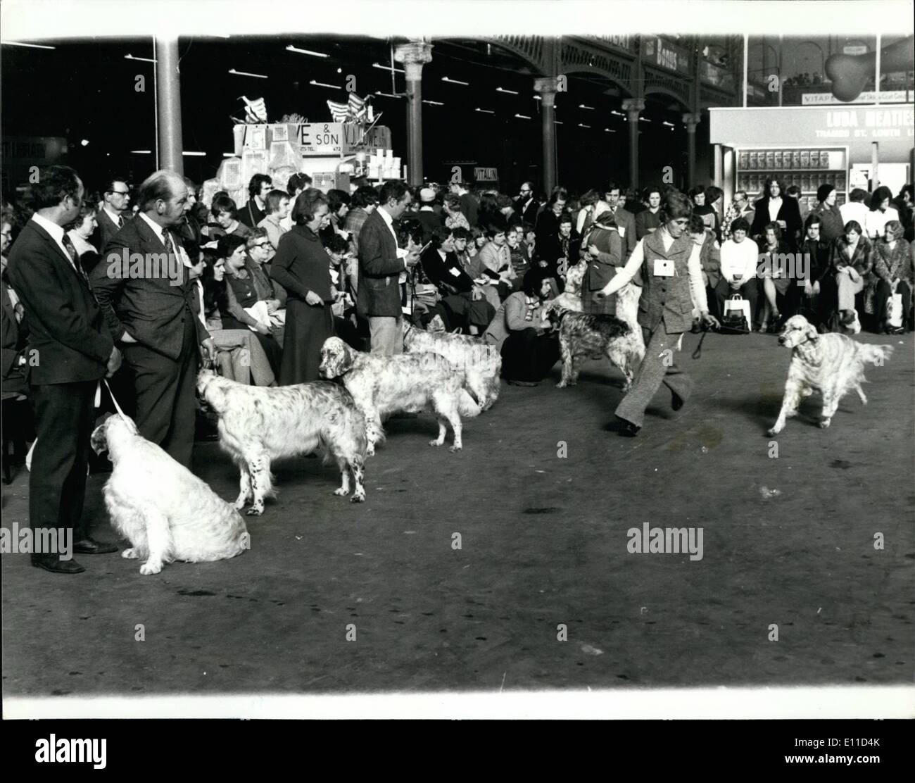 Archival dog show hi-res stock photography and images - Alamy