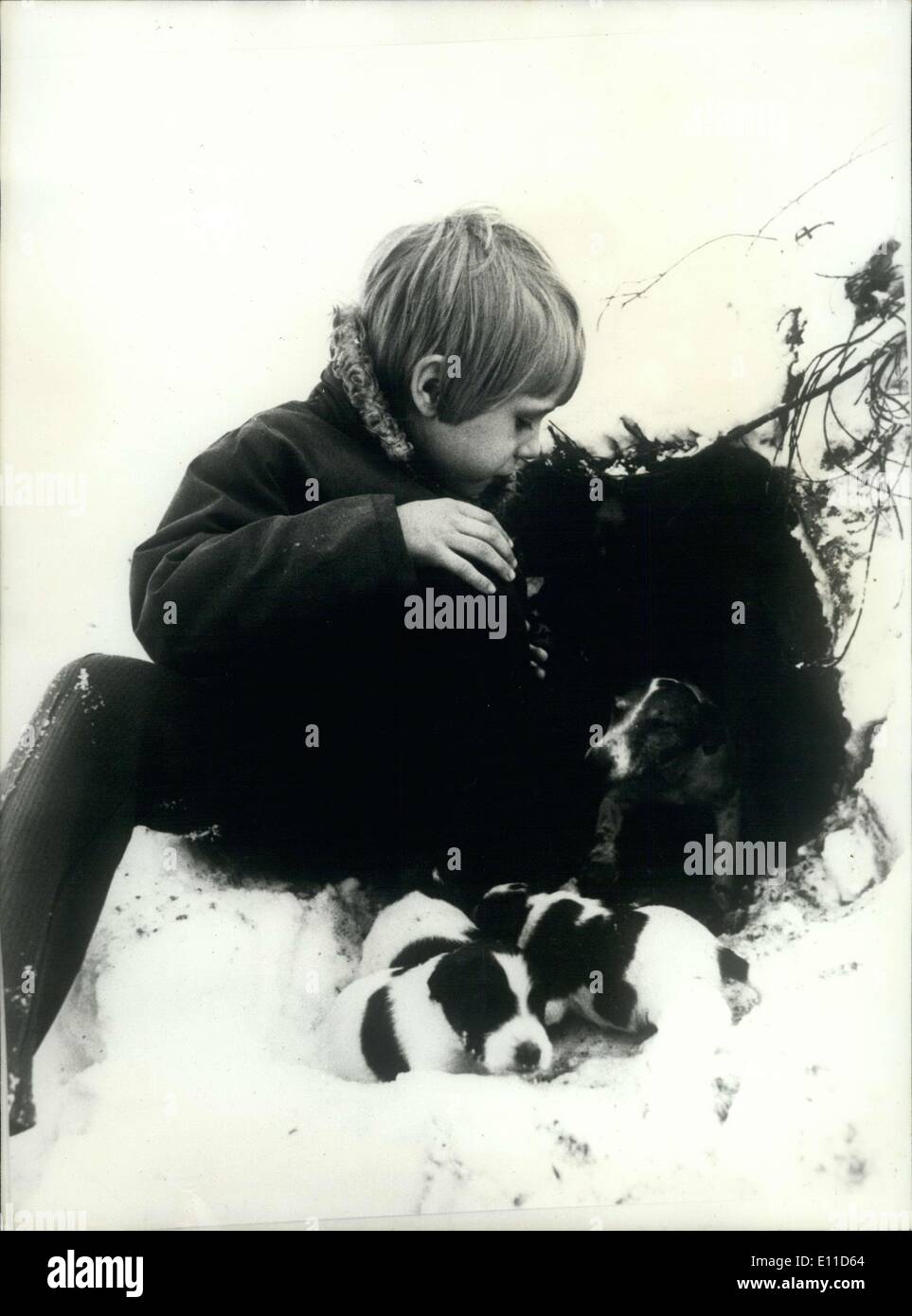 Feb. 10, 1977 - Dorte with Dog, ''Smut,'' and Puppies in the Snow Stock ...