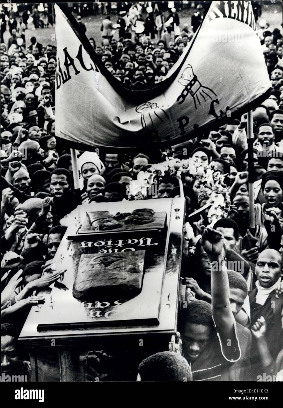 Steve biko hi-res stock photography and images - Alamy