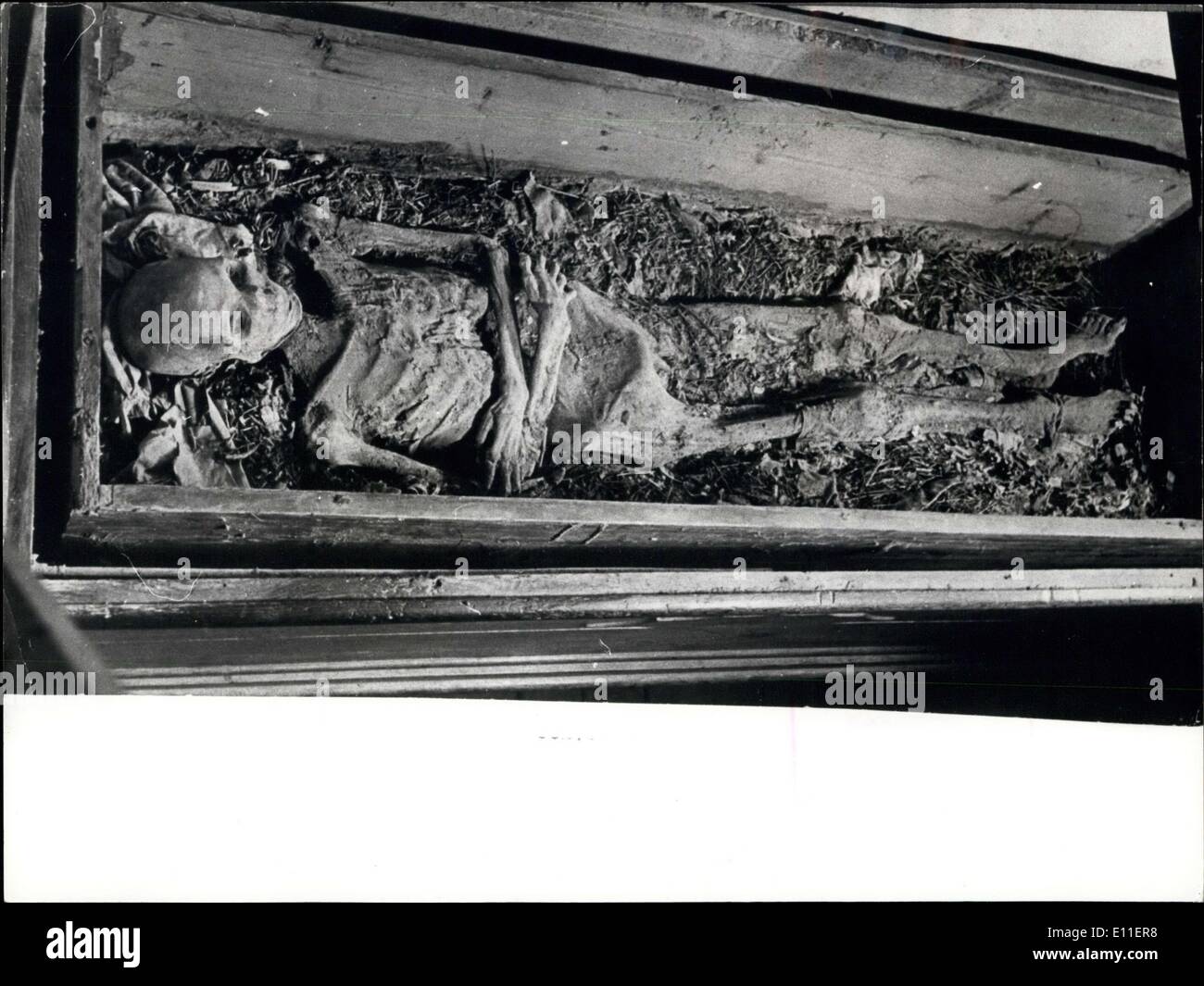 Mummified Body High Resolution Stock Photography and Images - Alamy