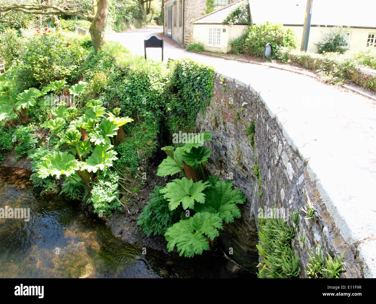 Helland bridge cornwall hi-res stock photography and images - Alamy