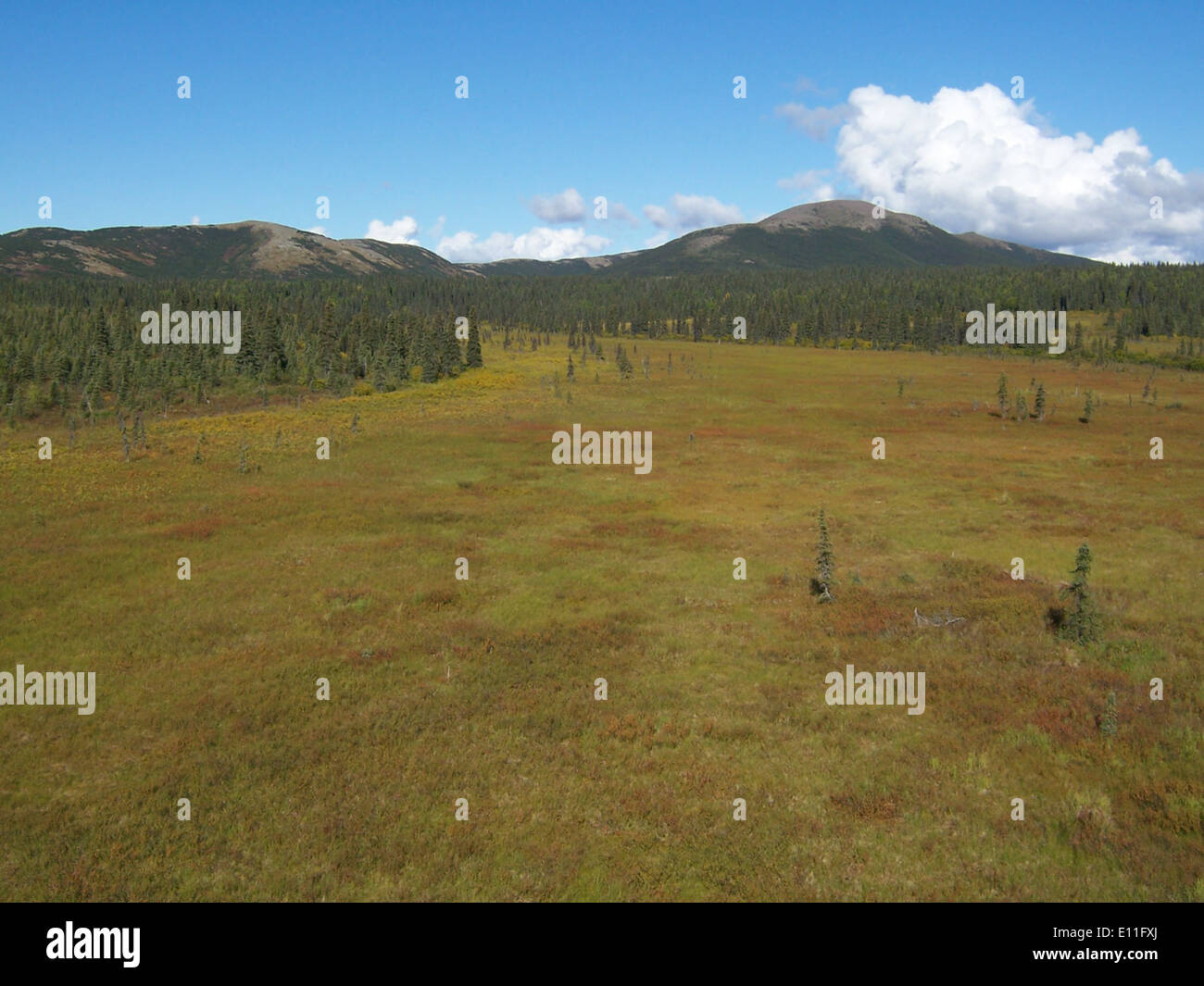 The stunning mountain views of Alaska's wilderness are captured in this ...