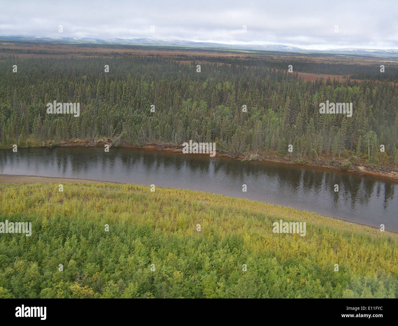 This riverscape in Alaska showcases the pristine wilderness, with vast ...