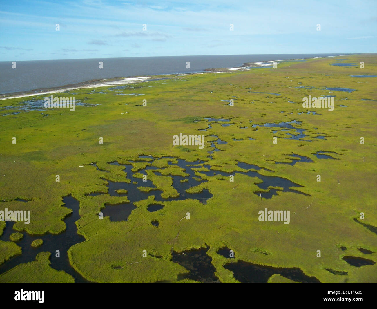 This image captures the coastal zone of Alaska, showcasing its wetlands ...