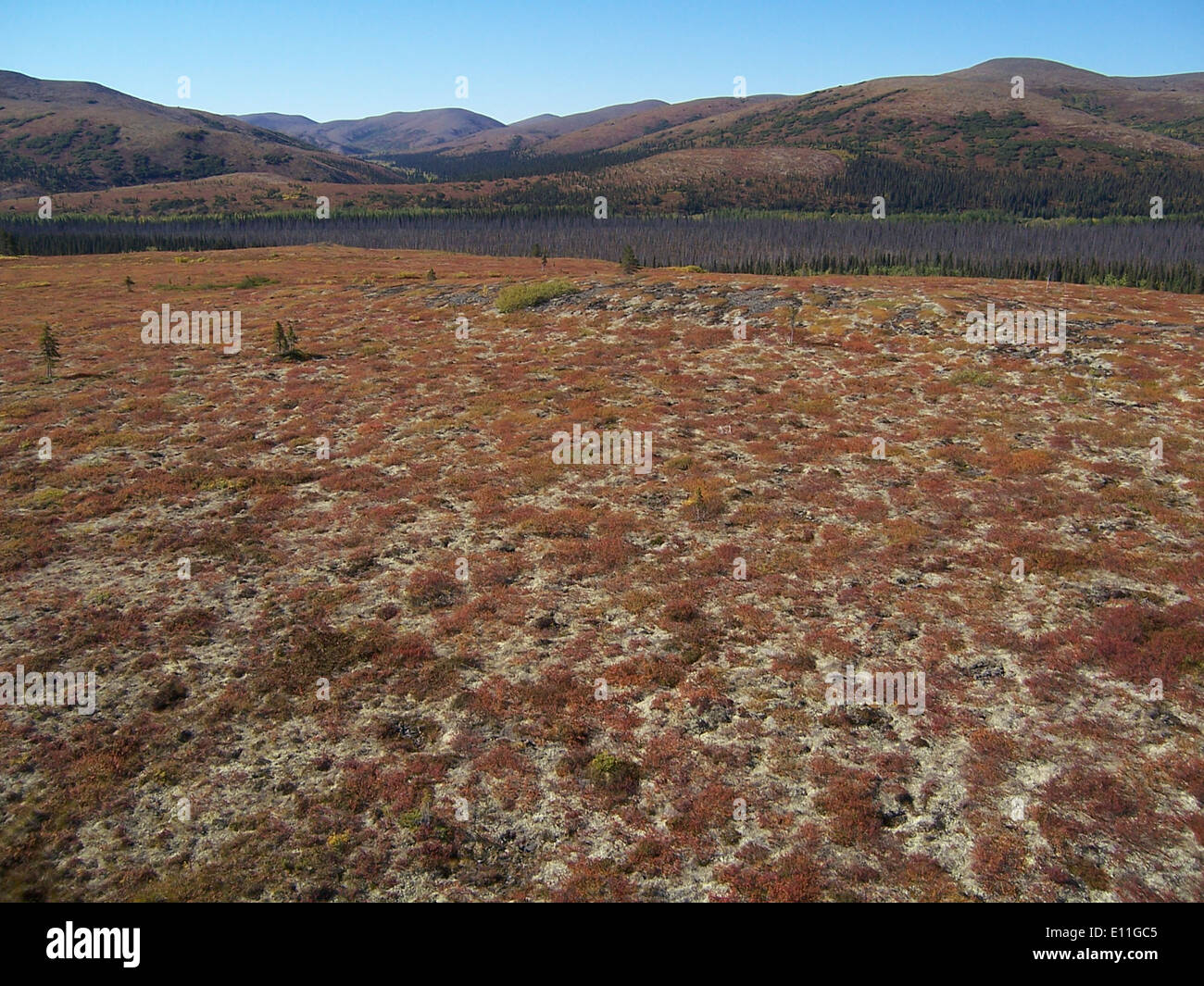 Alaska's mountains display striking fall colors, with vibrant hues of ...