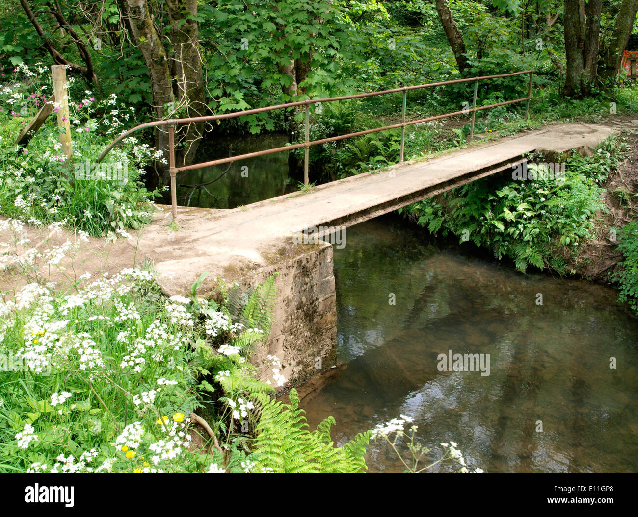 Metal footbridge over stream hi-res stock photography and images - Alamy