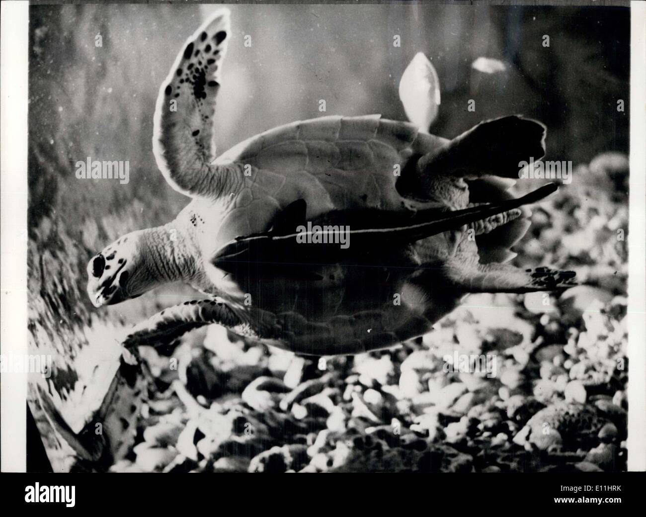 Avoiding main hi-res stock photography and images - Alamy