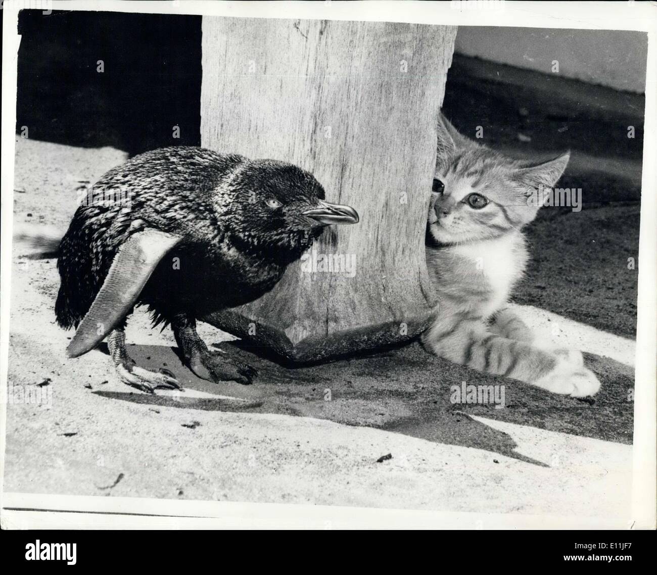 Jul. 27, 1978 - Waddle I Do?, Asked Henry Meet Henry, the penguin who ...