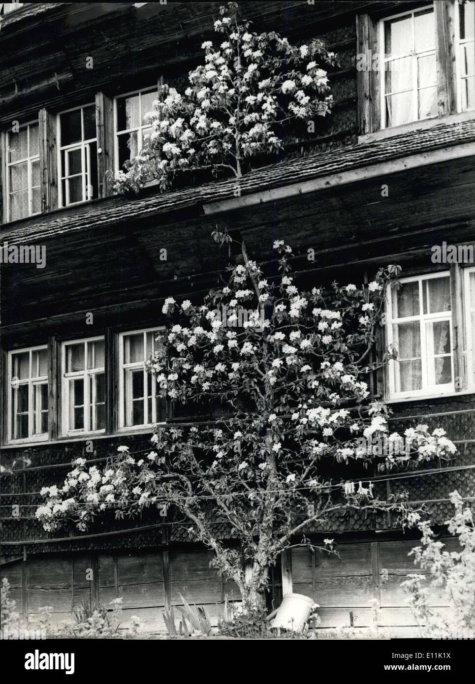 Pear tree press hi-res stock photography and images - Alamy