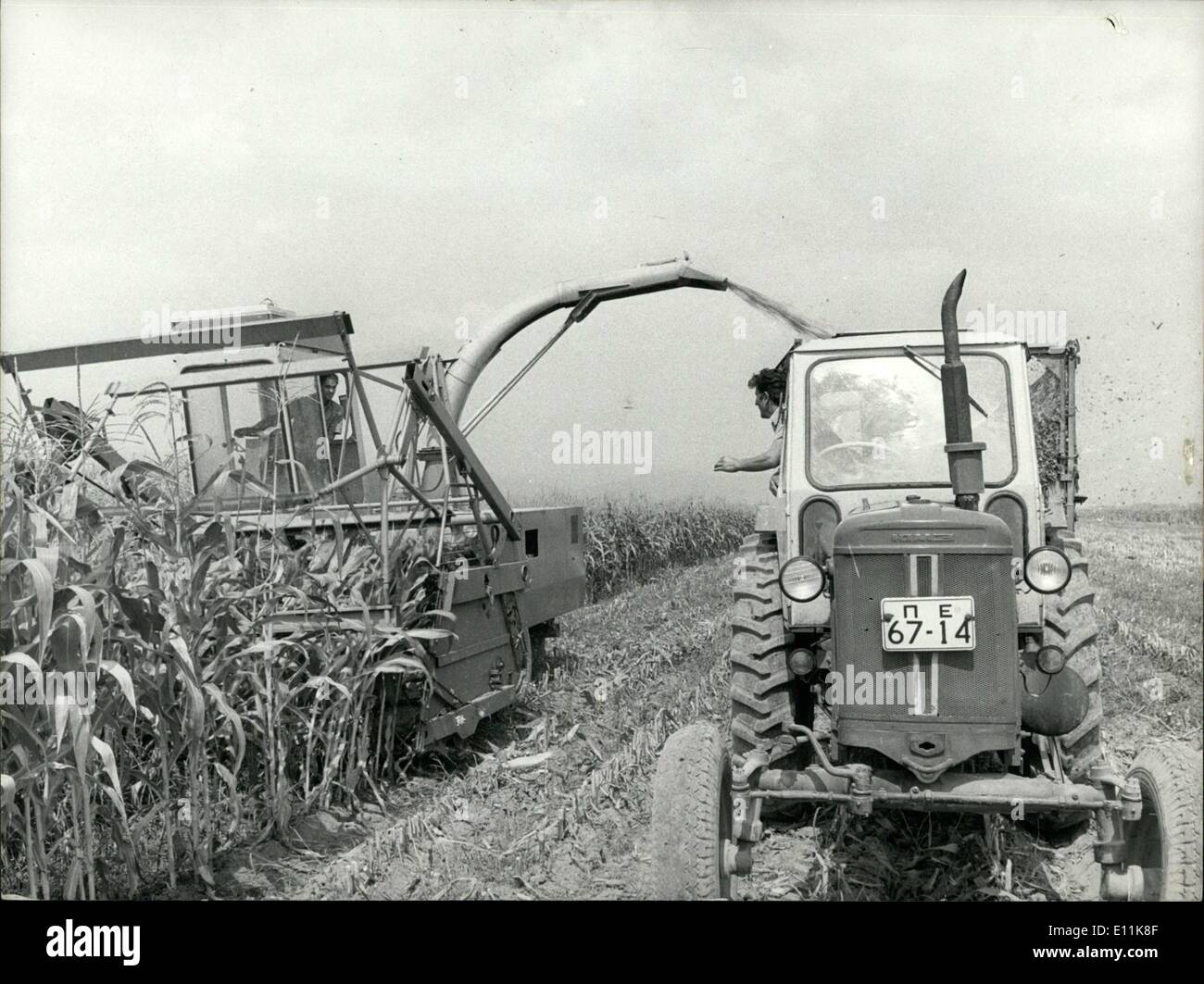 Fodder maize harvest in plovdiv district hi-res stock photography and ...