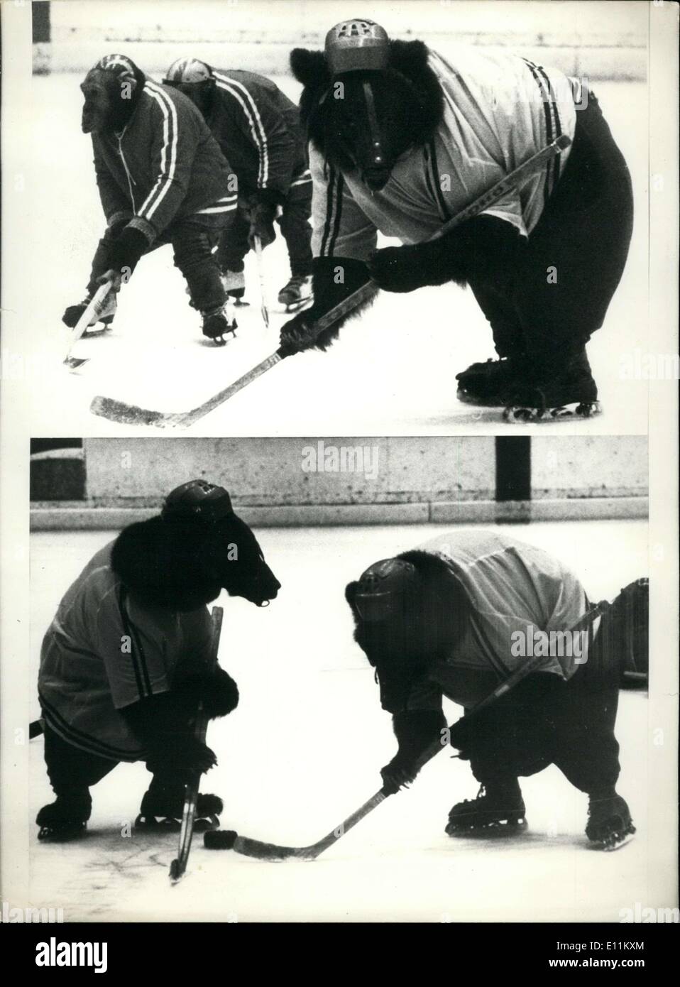 Jan. 11, 1979 - The bears beat the chimpanzees. The animals belong to ...
