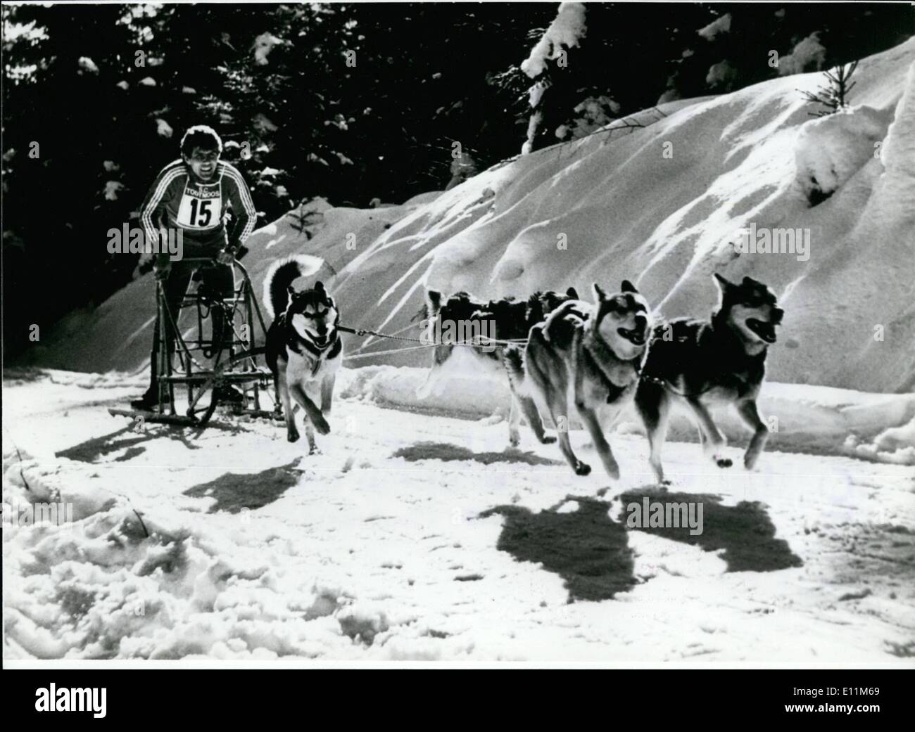 Husky race todtmoos hi-res stock photography and images - Alamy