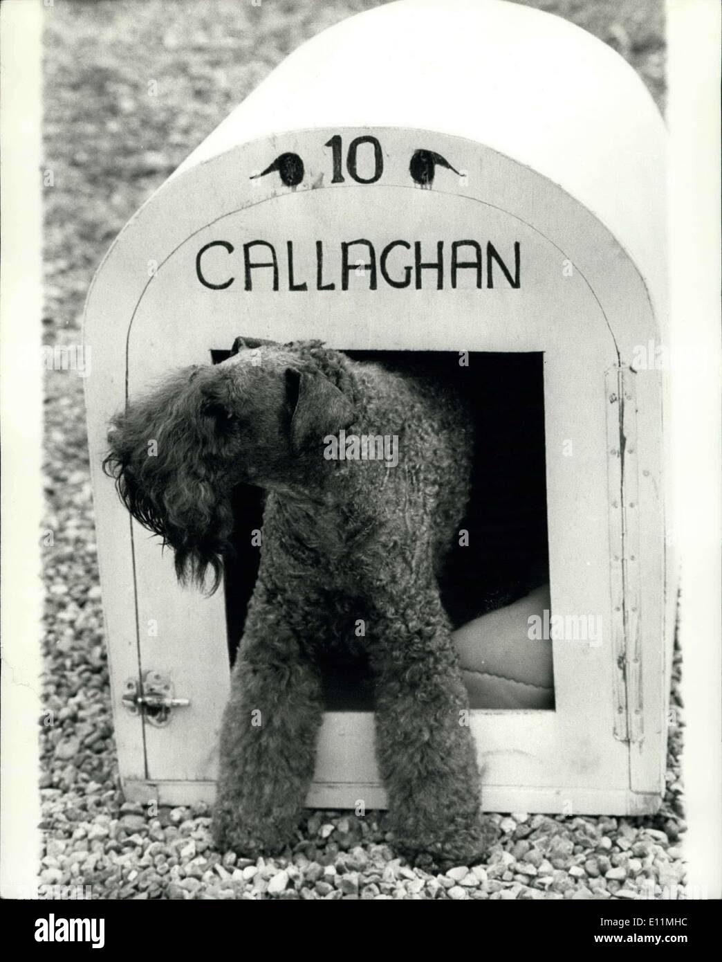 Feb. 12, 1979 - February 12th 1979 Callaghan is supreme. In the doorway ...