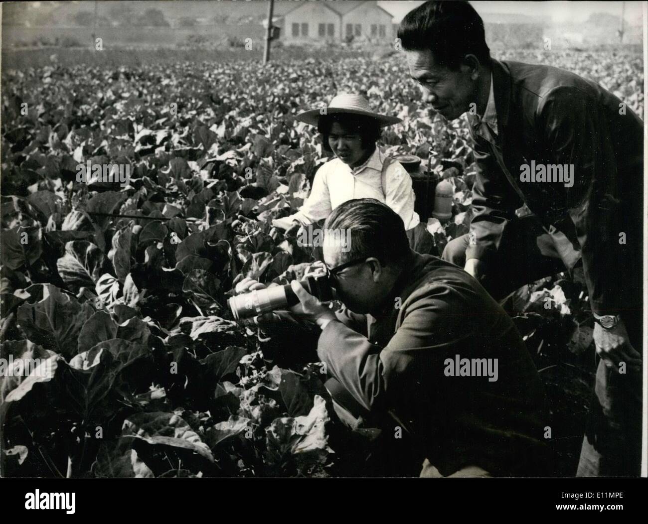 Kwangchow hi-res stock photography and images - Alamy
