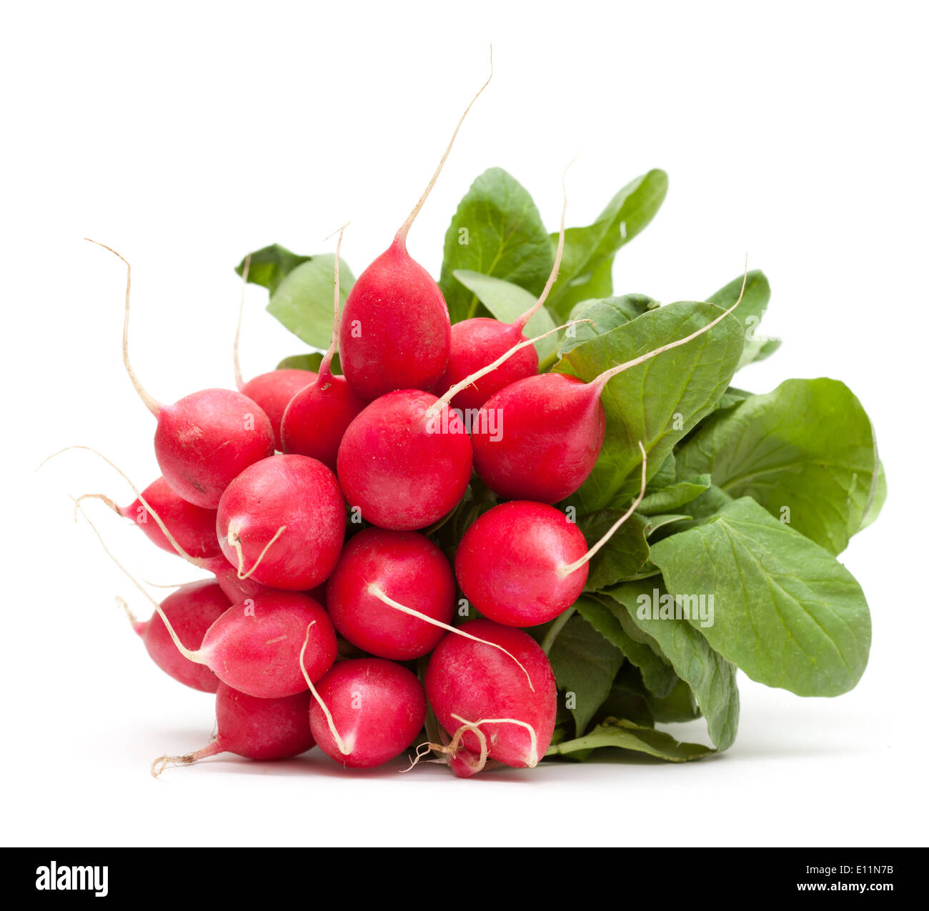 radish isolated on white background Stock Photo - Alamy