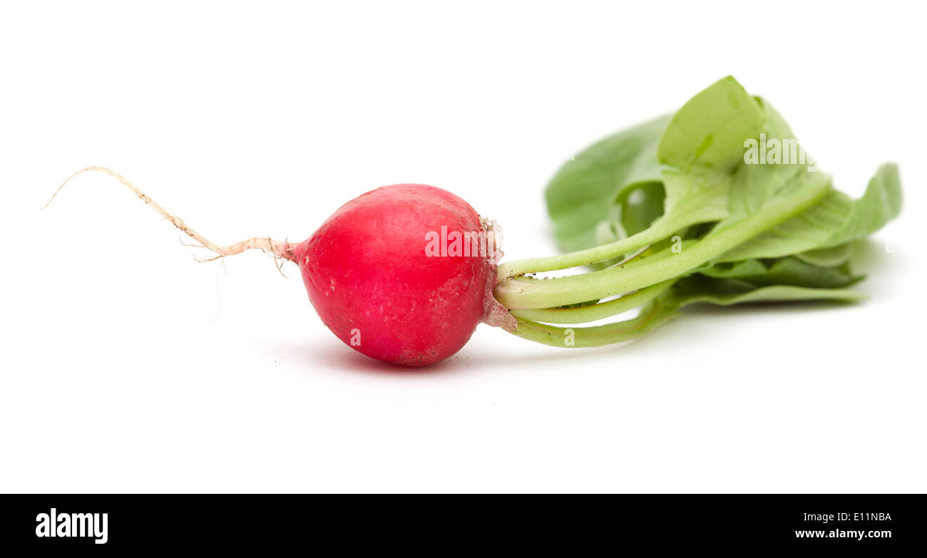 radish isolated on white background Stock Photo - Alamy