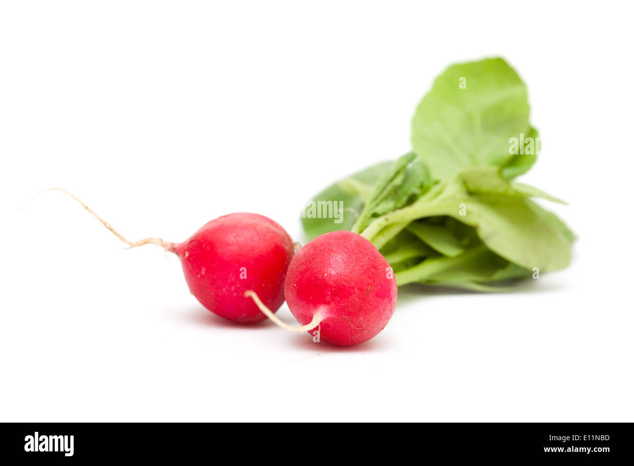 radish isolated on white background Stock Photo - Alamy