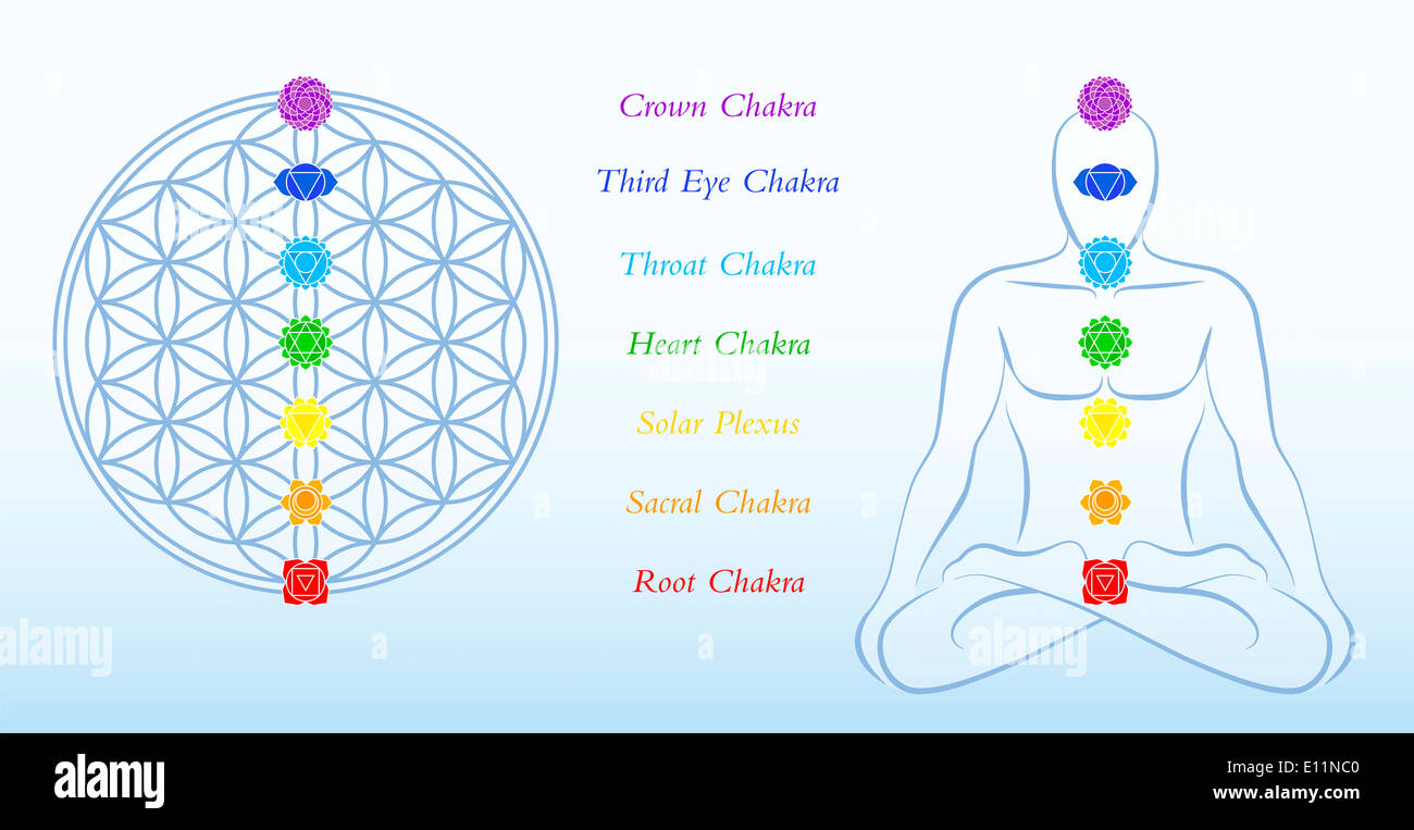 Flower of life and meditating man, both with symbols of the seven main chakras plus description ...