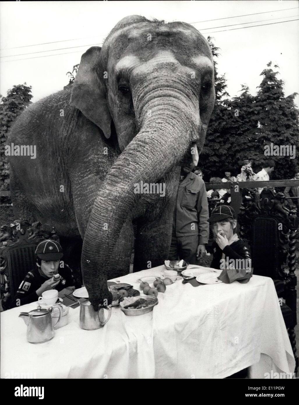 Aug. 21, 1979 - Two Cubs Take Tea With Marjorie The Elephant Two Cub ...