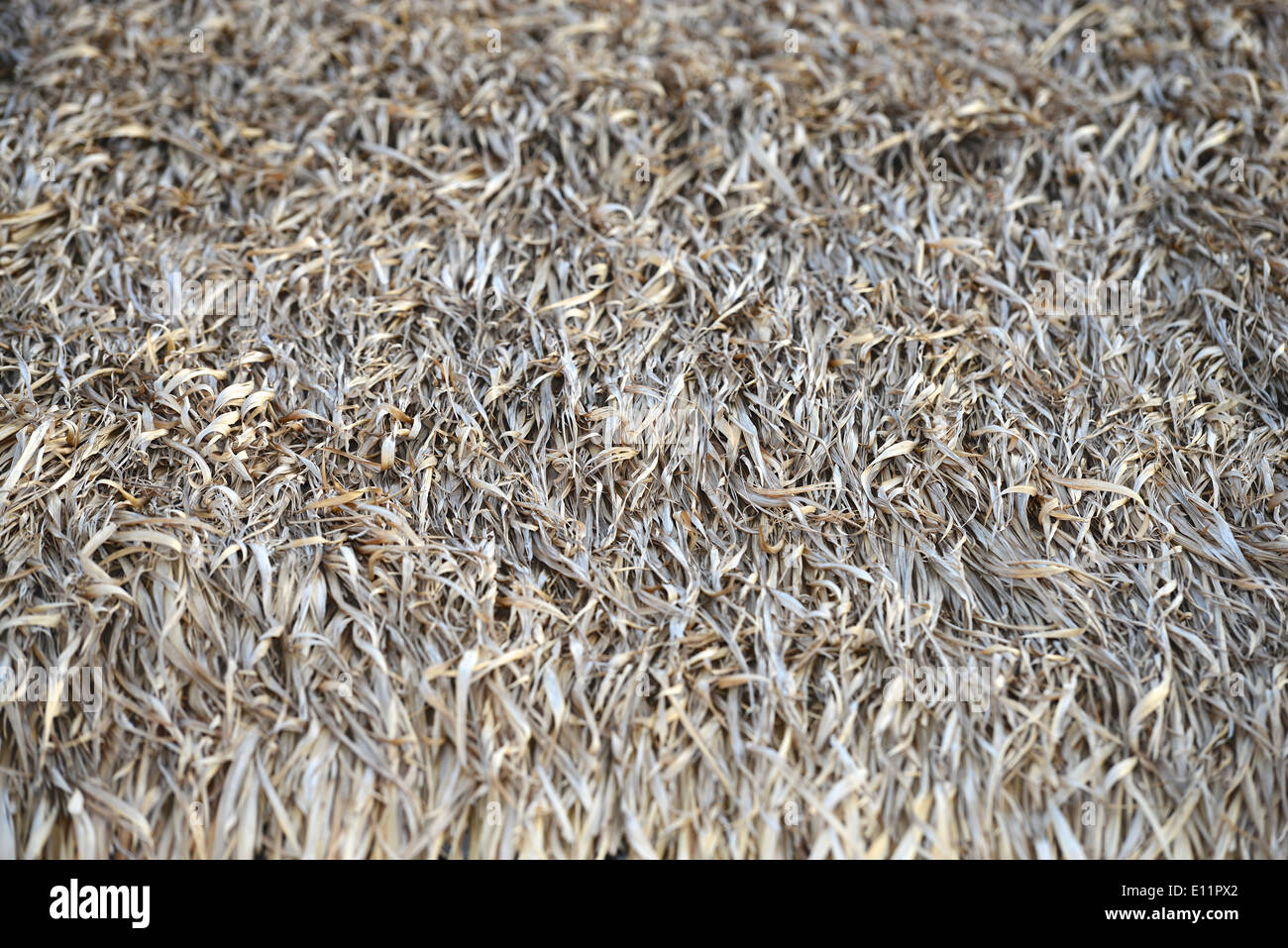 Woven roof hi-res stock photography and images - Alamy