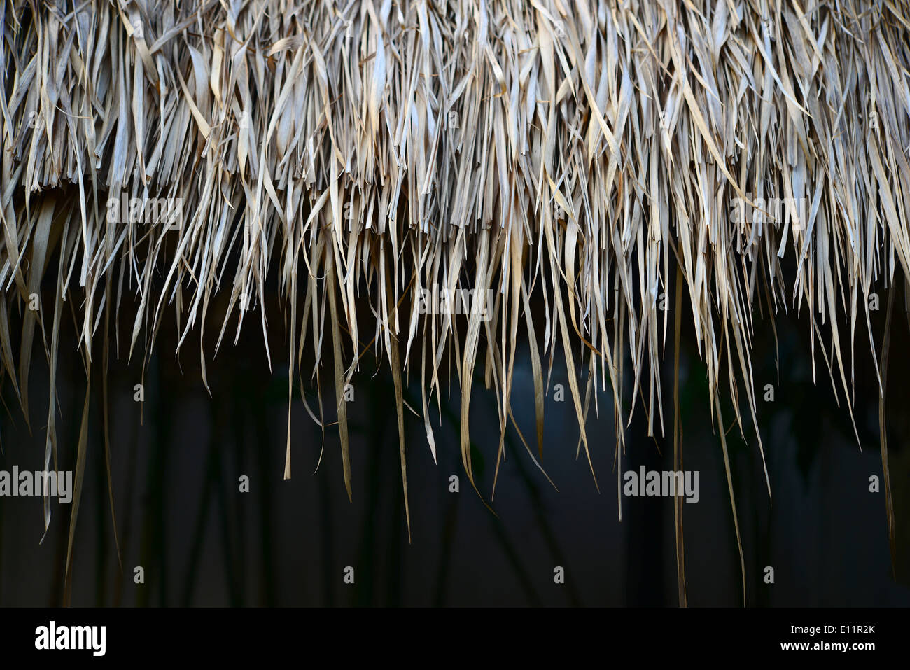 Woven roof hi-res stock photography and images - Alamy