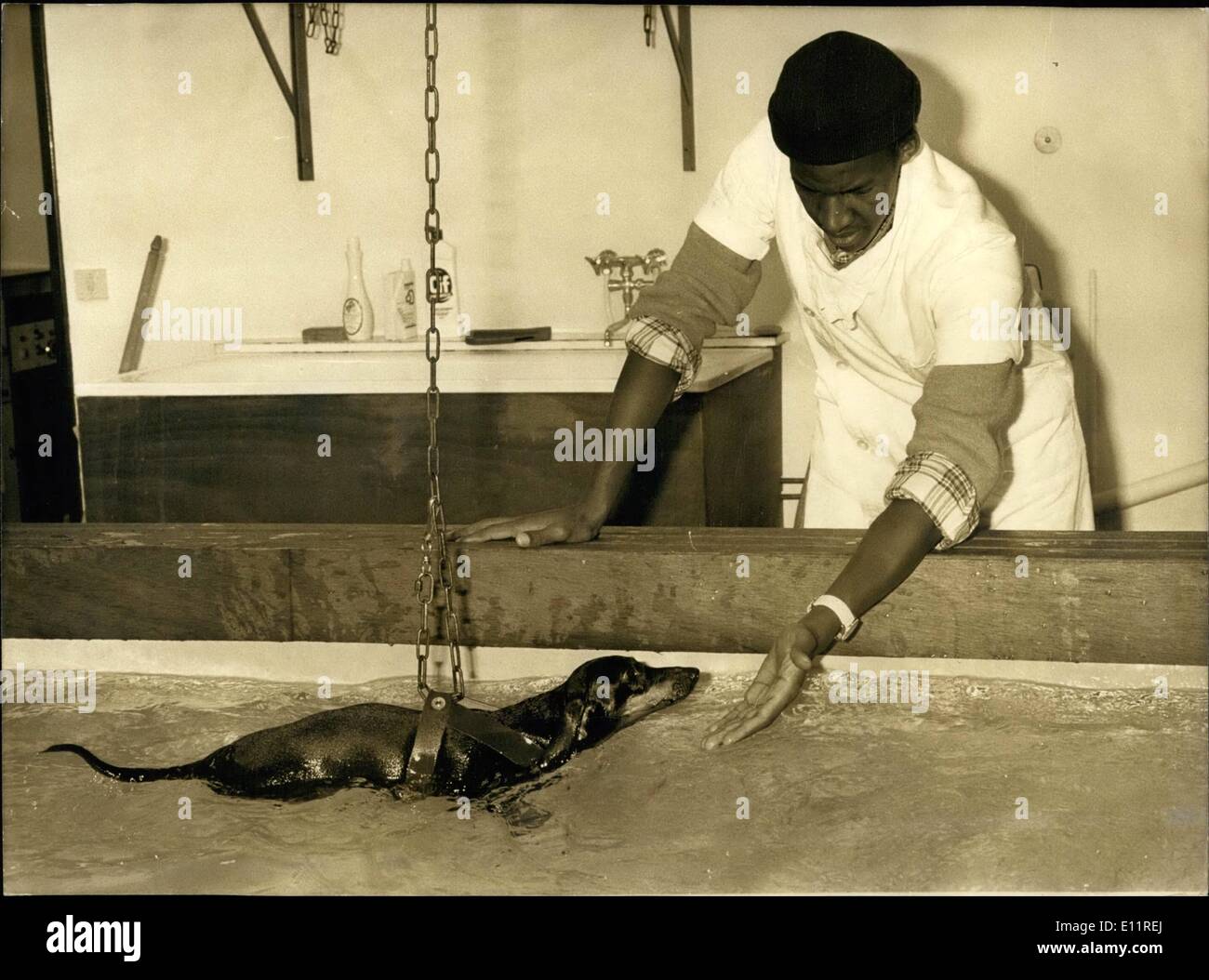 Woman two men love triangle hi-res stock photography and images - Alamy