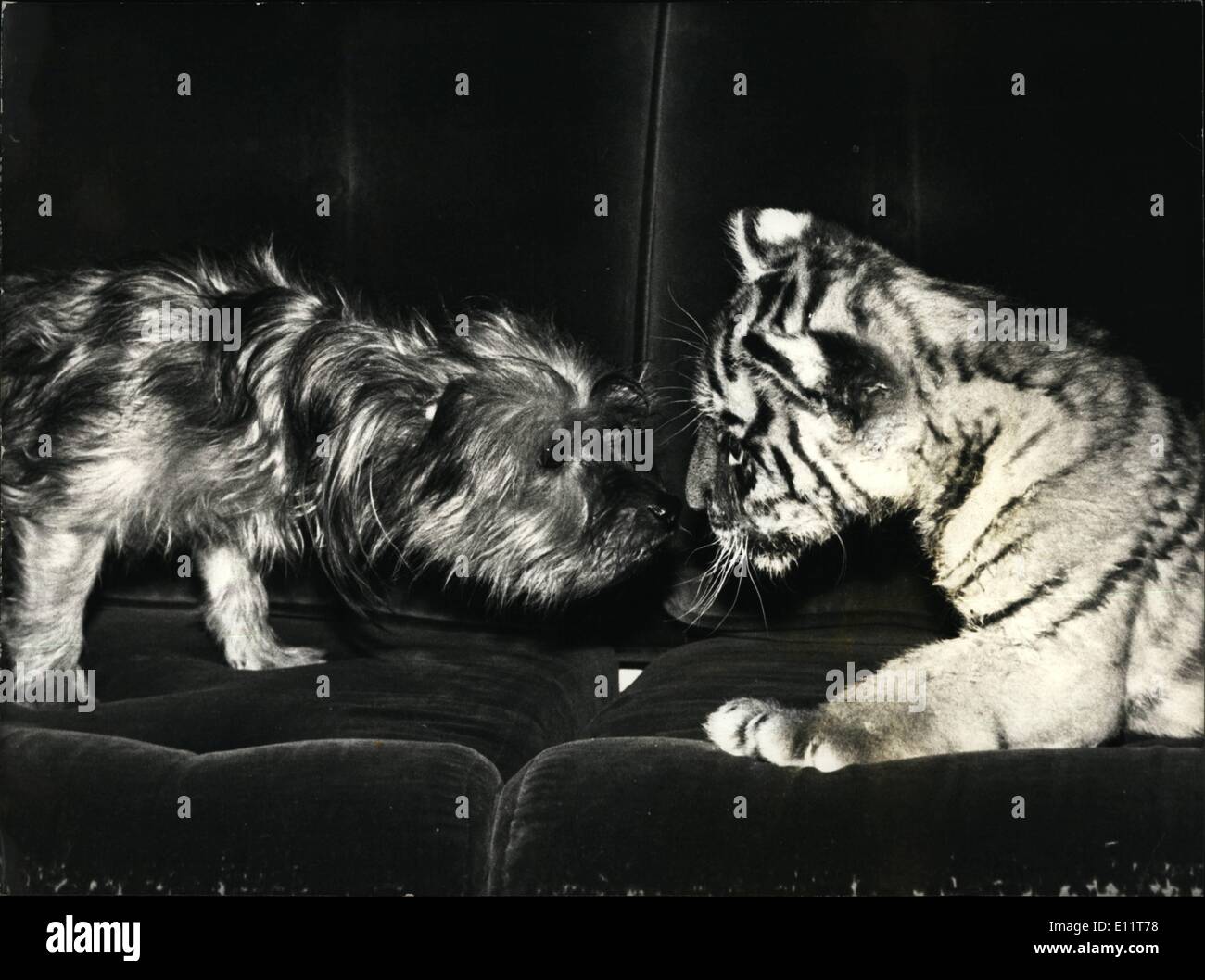 11 1979 hi-res stock photography and images - Alamy