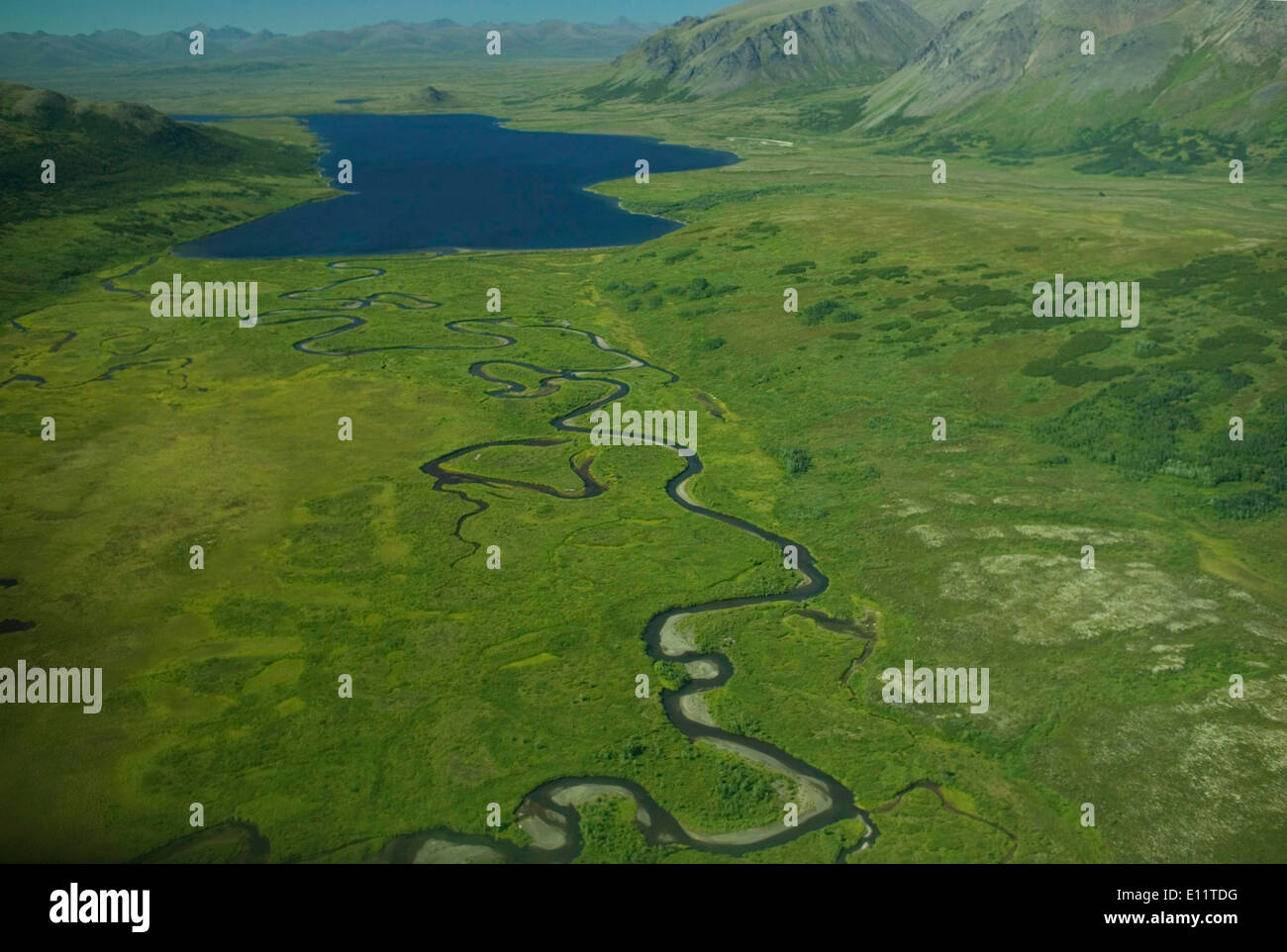 An image of aquatic species restoration efforts in a river environment ...