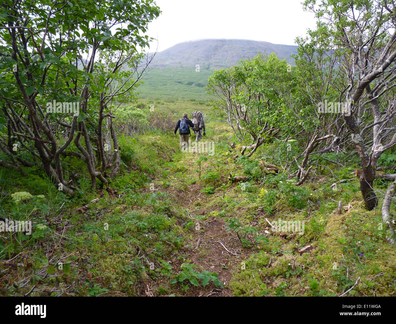 The Kanatak Trail, located in the Becharof National Wildlife Refuge ...