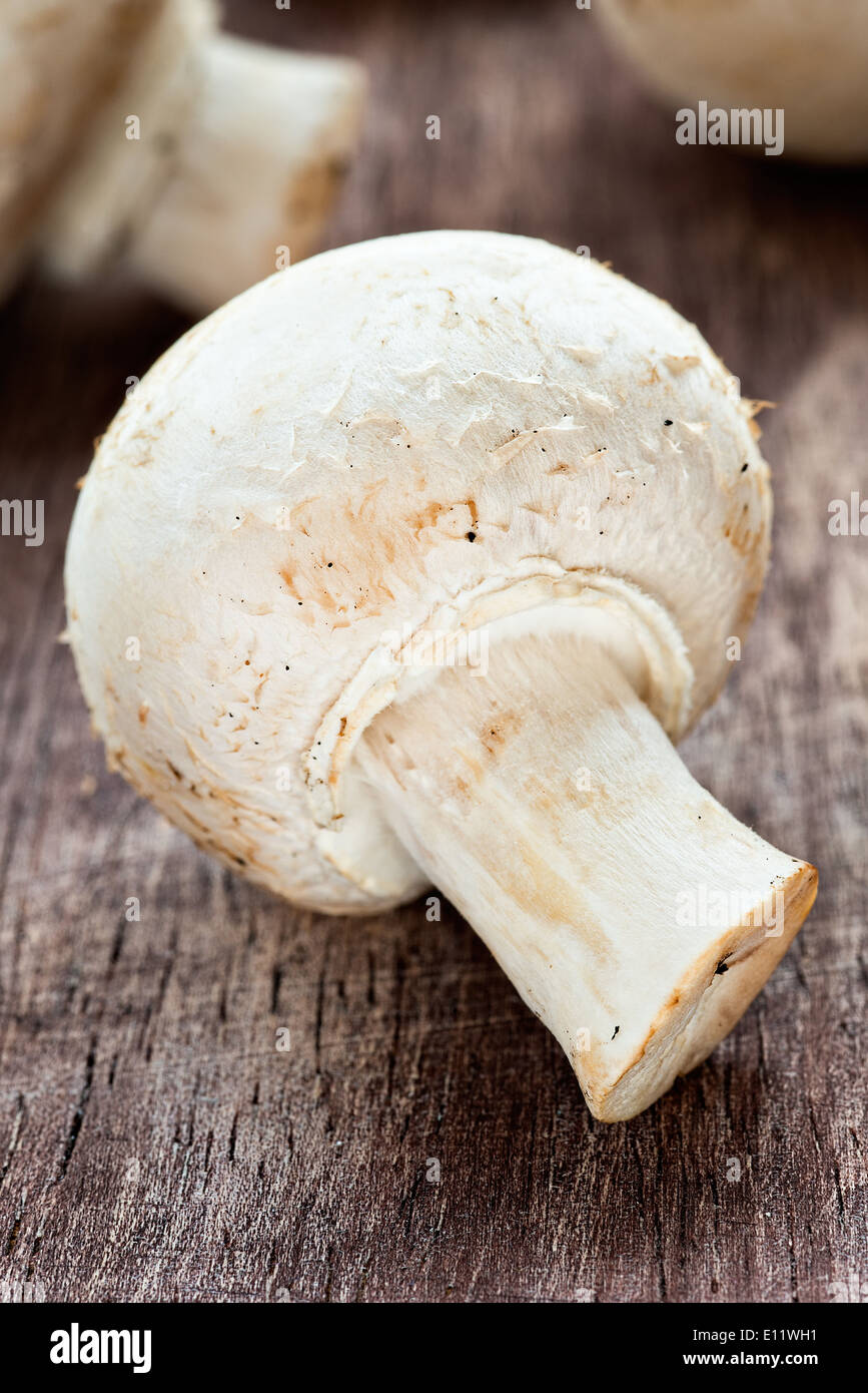 Button mushroom hi-res stock photography and images - Alamy