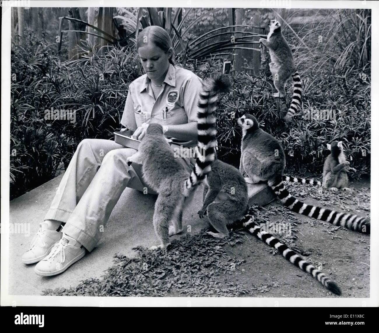 Jane is trying hi-res stock photography and images - Alamy