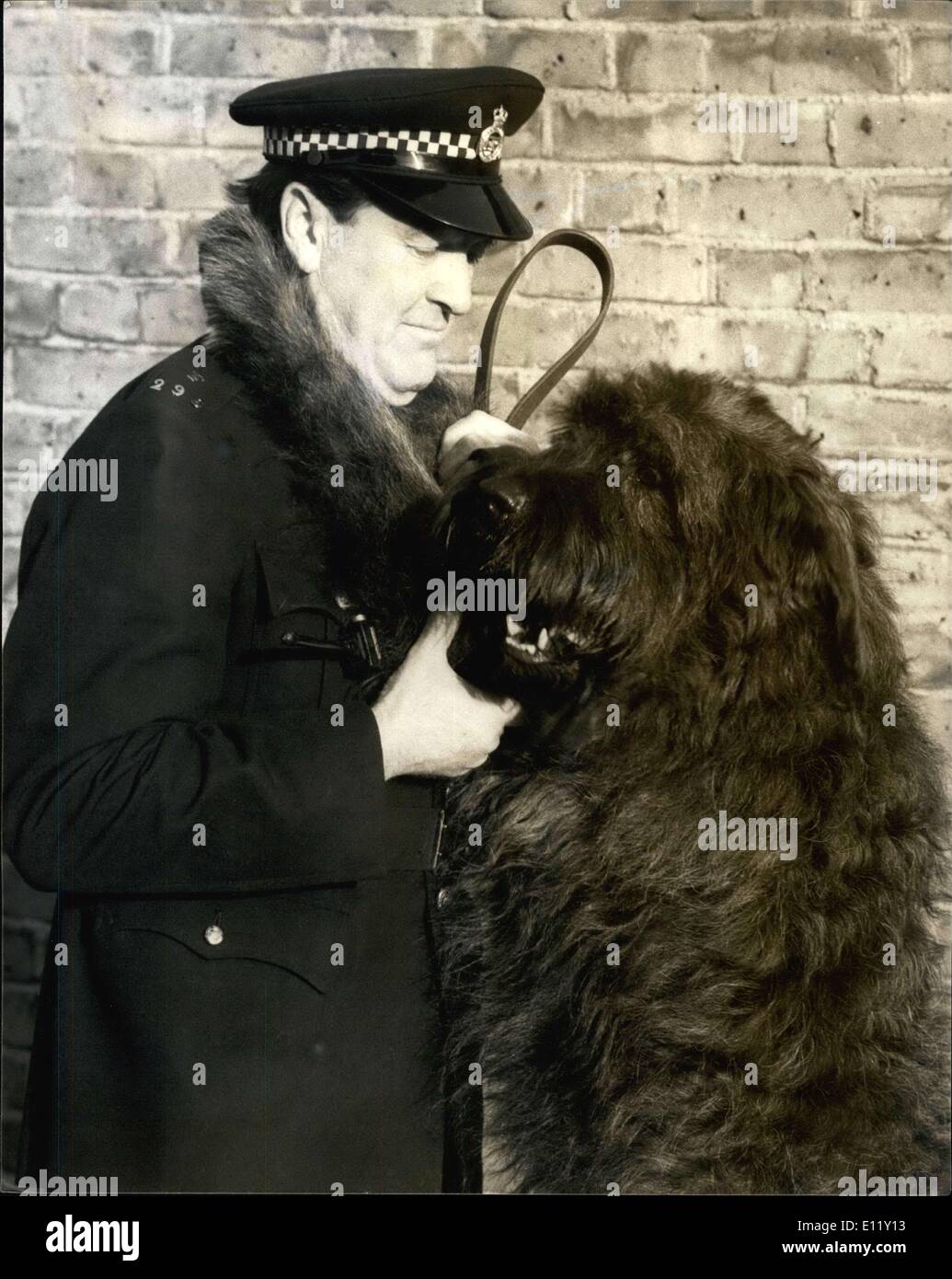 Dec. 08, 1980 - December 8th 1980 Jango Bouvier de Flandres starts duty ...