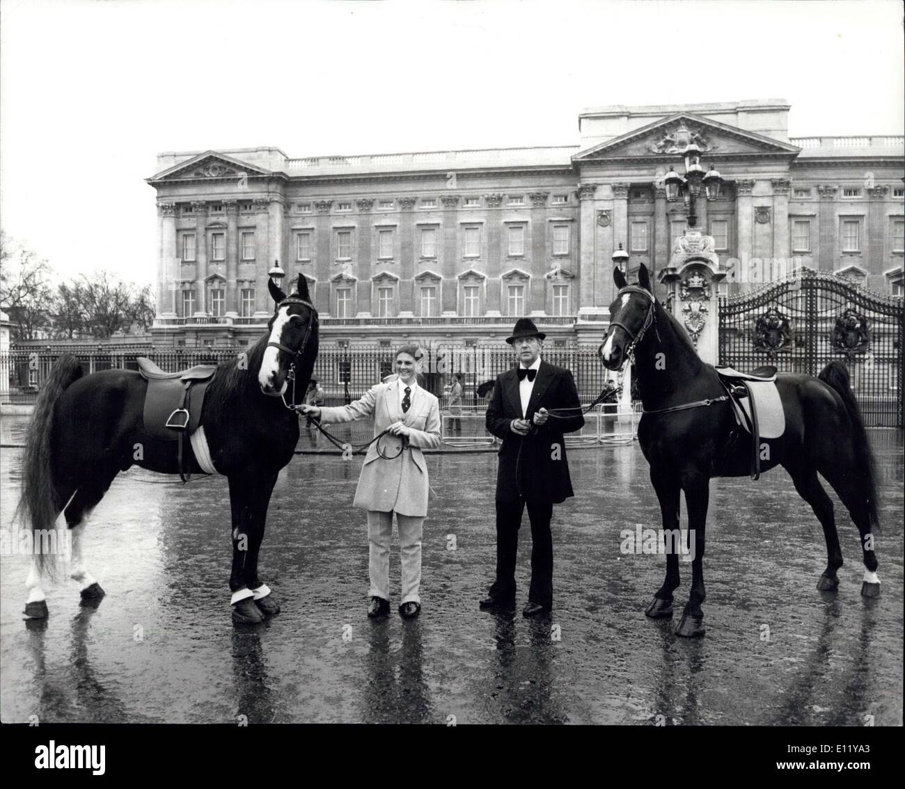 The royal mews at buckingham palace High Resolution Stock Photography ...