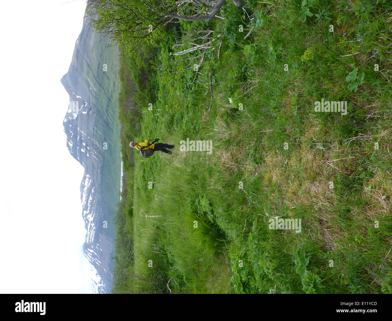 The Kanatak Trail in Becharof National Wildlife Refuge offers visitors ...