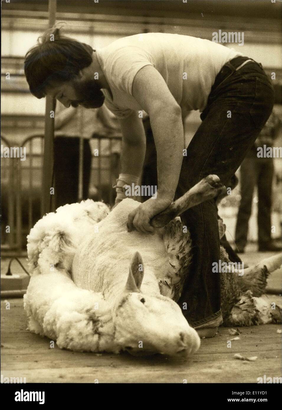 Sheep shearing historical hi-res stock photography and images - Alamy