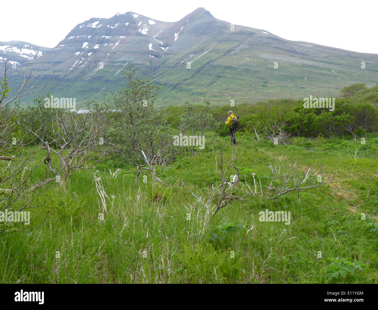The Kanatak Trail in Becharof National Wildlife Refuge offers scenic ...