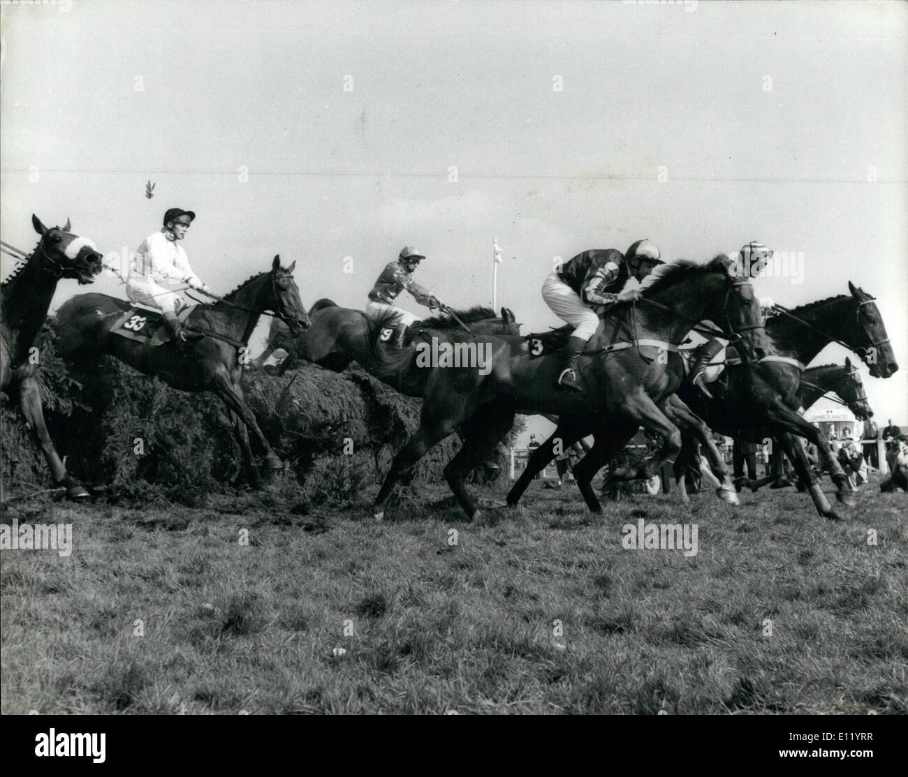 Bob champion 1981 national hi-res stock photography and images - Alamy