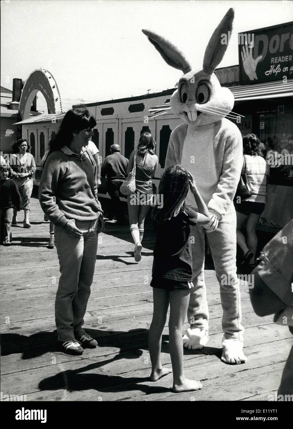 American rabbit hi-res stock photography and images - Alamy