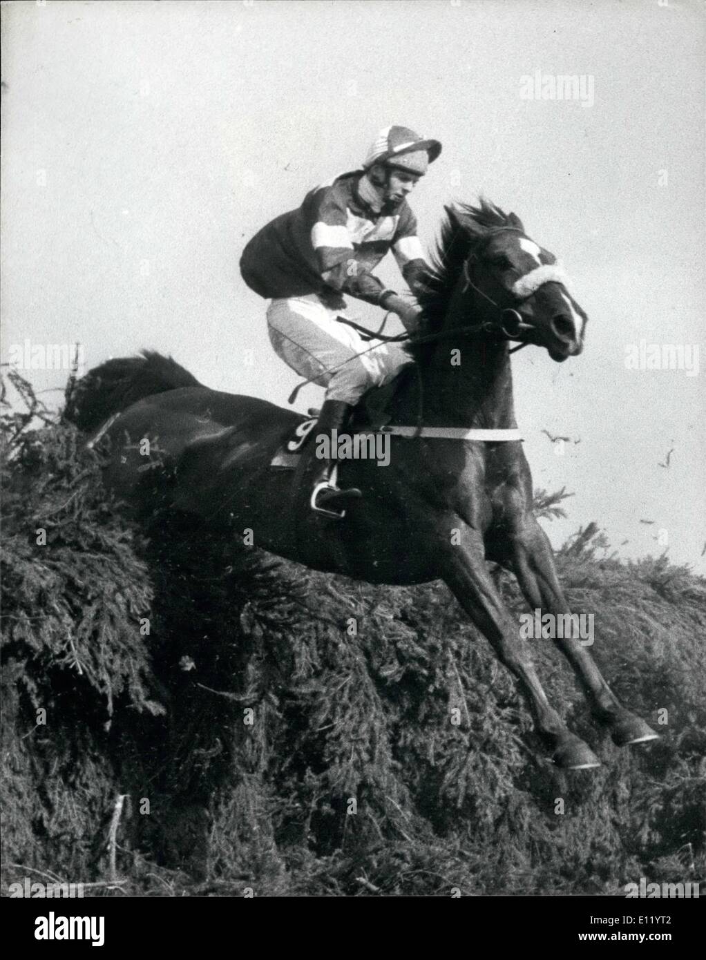 Aldaniti bob champion grand national hi-res stock photography and ...