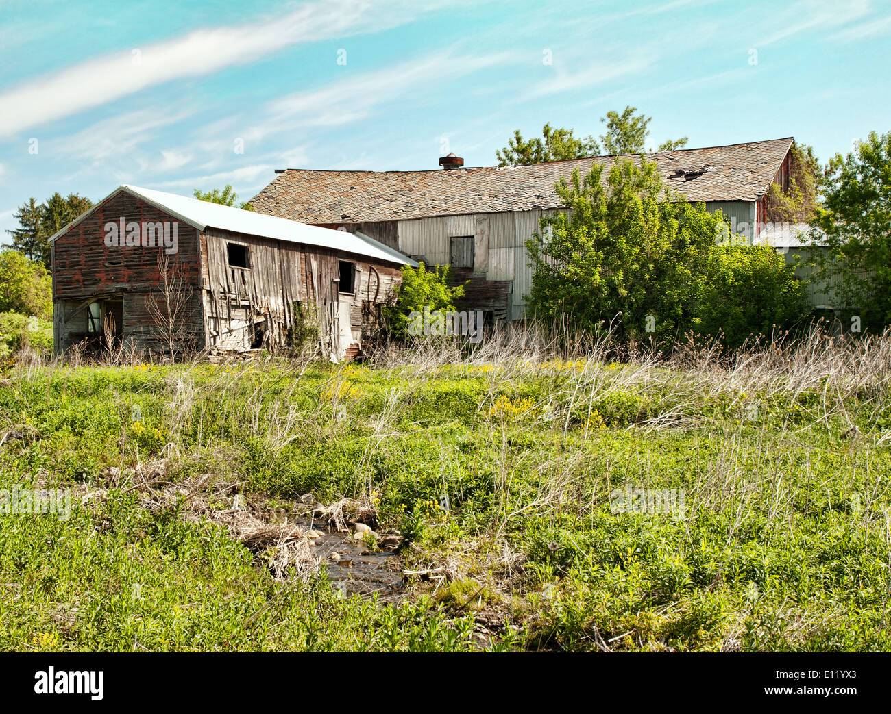 ruins of an abandoned barn Stock Photo - Alamy