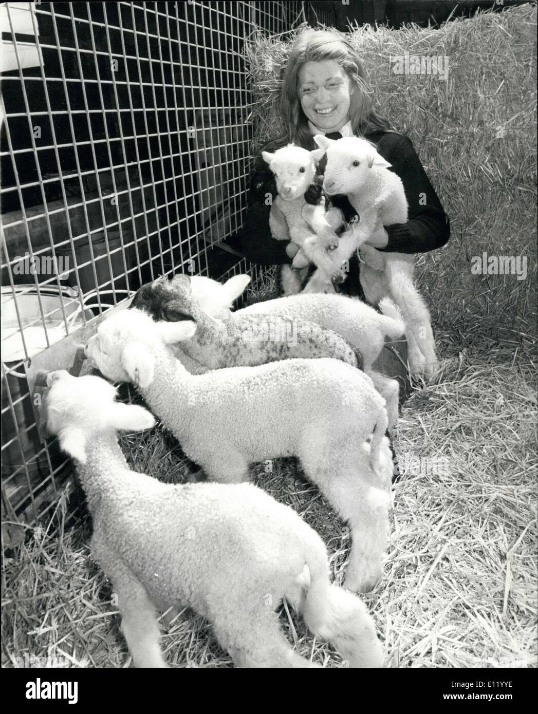 Jan. 15, 1981 - Britain's Only Lamb Orphanage Has Its First Arrivals A ...