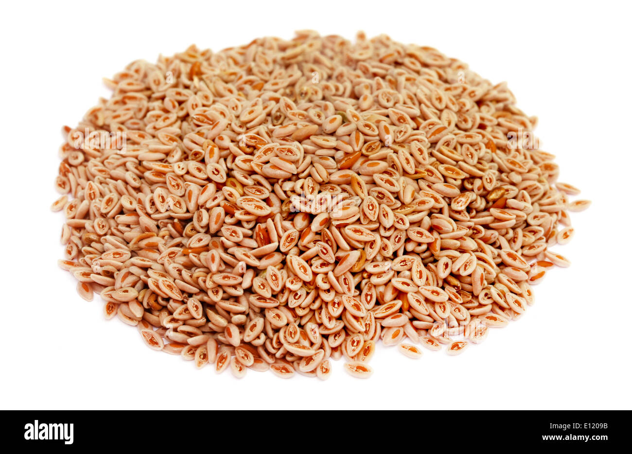 Medicinal Isabgol or psyllium husks over white background Stock Photo ...