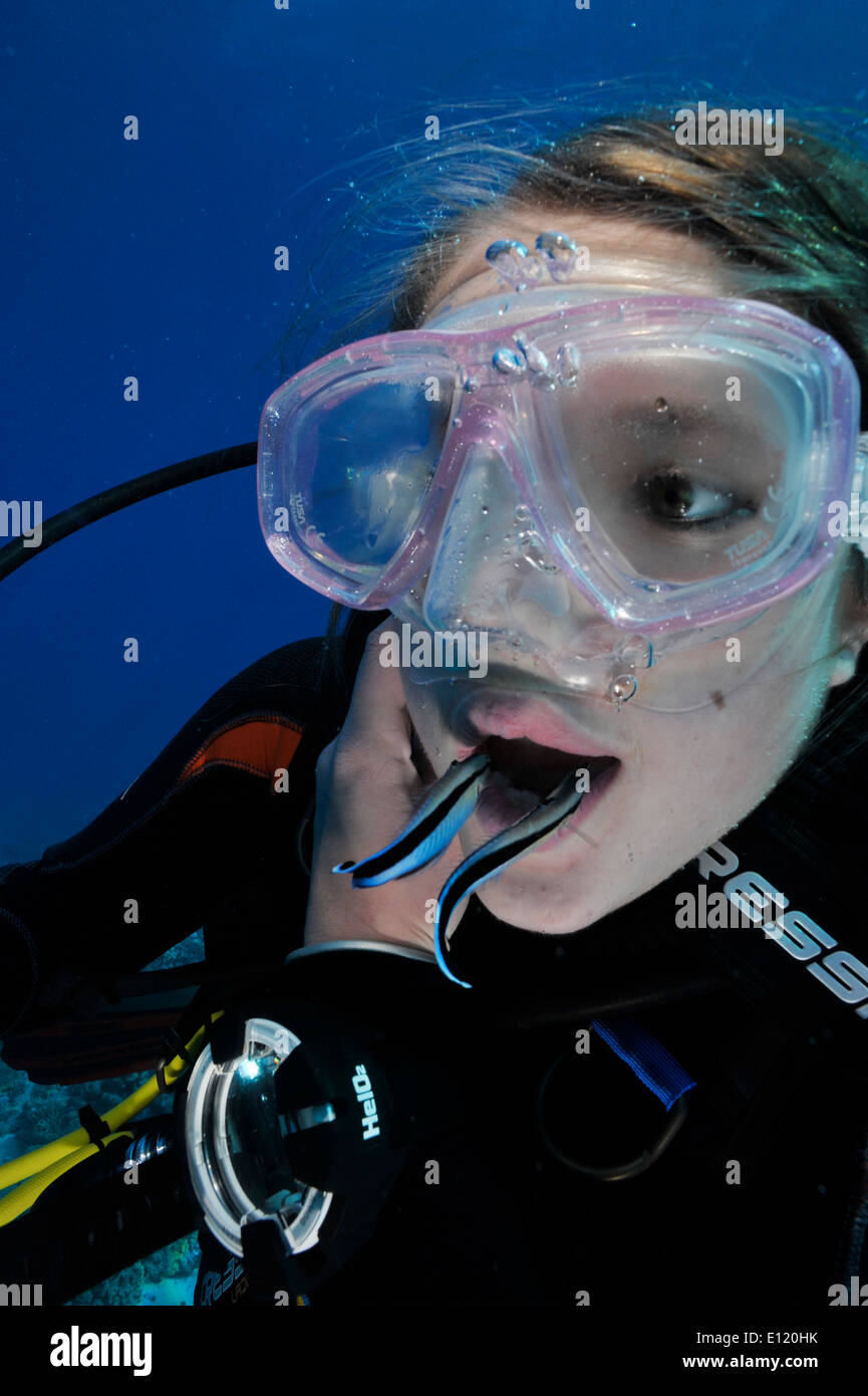 Diver with cleanerfish Stock Photo - Alamy