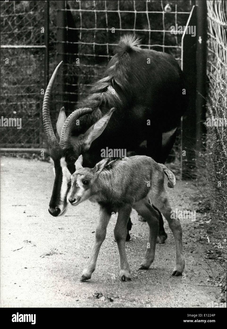 First animal hi-res stock photography and images - Alamy